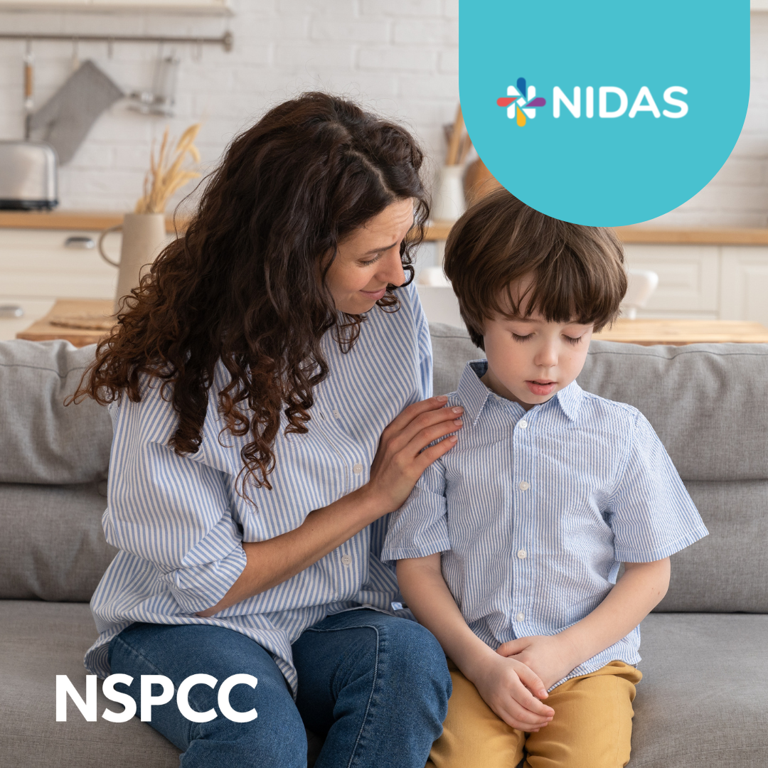 DART: A new programme for NIDAS in partnership with the NSPCC - NIDAS ...
